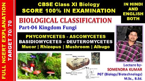 Biological Classification Part 04 Fungi Phycomycetes Ascomycetes