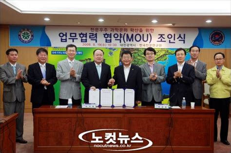 국자모양 북두칠성 대전의 별로 지정 노컷뉴스