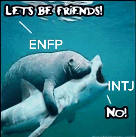 Whenever Exfp Has A Crush On You Rintj