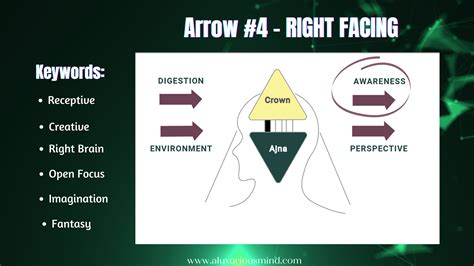 Human Design Arrows Part