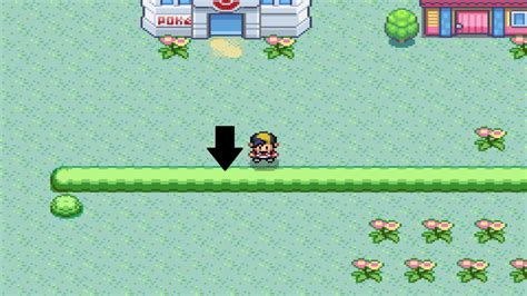 Bugs Pokemon Reloaded Beta 17