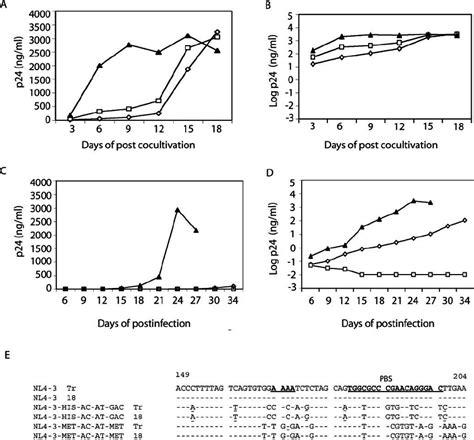 Kinetics Of Appearance Of Wild Type And Mutant Hiv 1 Produced From