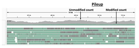 Visualisation Of Base Modification Data Part Ii · Detection Of Dna
