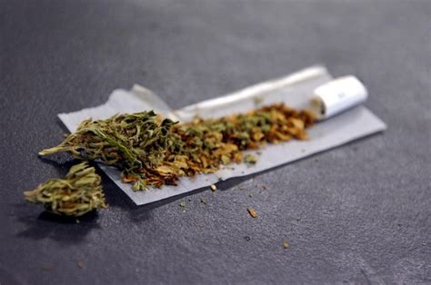 Près de 500 g de cannabis saisis dans une maison de Chantenay Saint