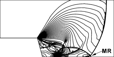 Numerical Results For Density Distribution Of Reflected Shockvortex
