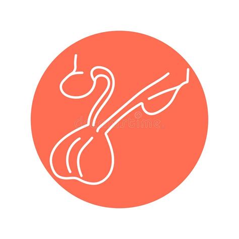 Hypothalamus Color Line Icon Endocrine System Stock Vector