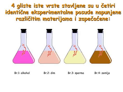 Eksperiment Ppt