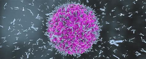 Scientists Find ‘switch That Stops Immune System Attacking Healthy