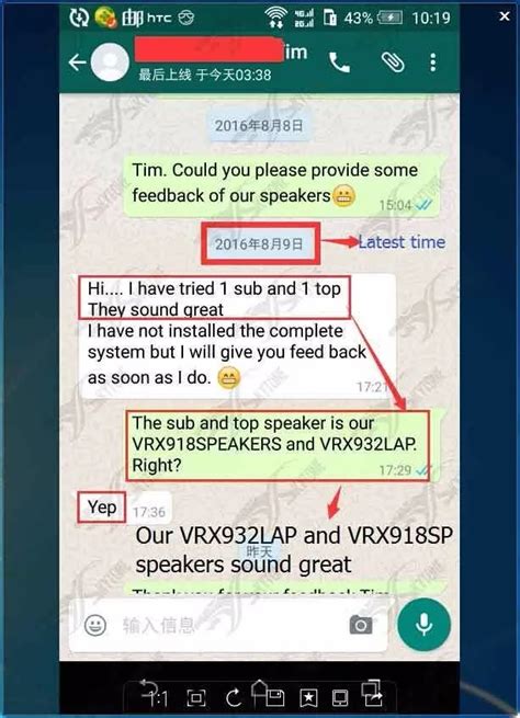 Skytone Vrx932 Lap Powered Speaker Cabinet Active Line Array System