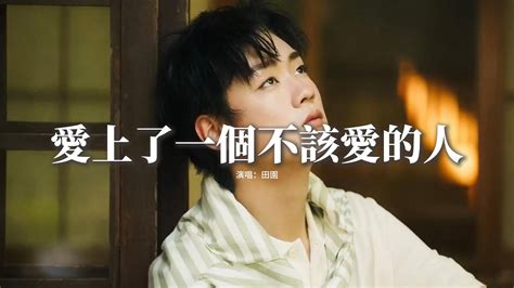 田園 愛上了一個不該愛的人『愛上了一個不該愛的人，滿身傷還要笑着說不疼，某個醉酒的凌晨 想起走散的我們，愛那麼深卻少了點緣份。』【動態歌詞