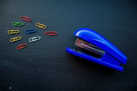 140 Stepler Fotos De Stock Imagens E Fotos Royalty Free Istock