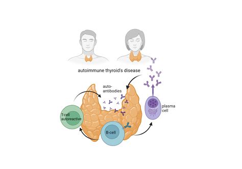 Autoimmune Thyroids Disease Biorender Science Templates