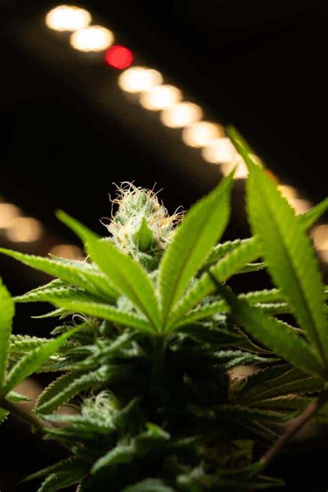 4 Things To Know About Plant Root Zone Management And Root Zoning