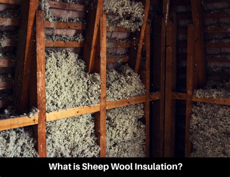 What Is Sheep Wool Insulation Home And Garden Overload