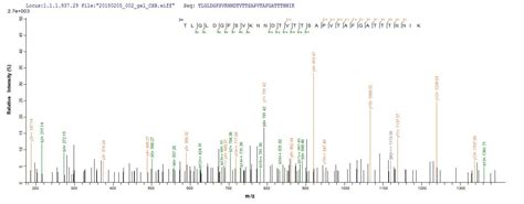 E Coli Flic Flagellin Protein Recombinant 2 498aa Lsbio