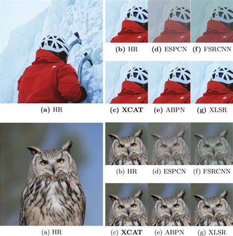 Figure 1 From Xcat Lightweight Quantized Single Image Super