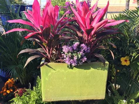 Rectangular Ceramic Planters Cast Stone International