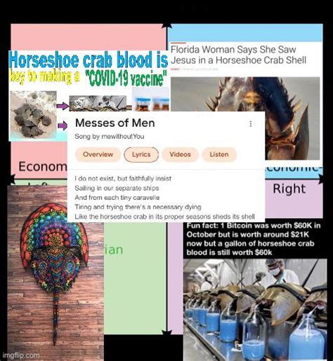 Horseshoe Crab Compass Rpoliticalcompassmemes