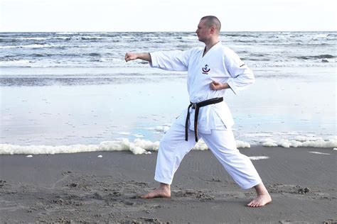 Junzuki — Karates 1 Punch Technique In Depth The Digi Dojo