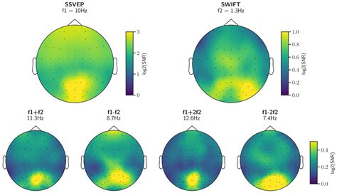 Scalp Distributions Topographical Maps Are Shown For SSVEP SWIFT And Download Scientific