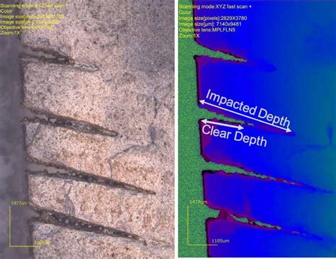 Cross Sectional View Of A Hardened Cement Paste Sample Optical Download Scientific Diagram