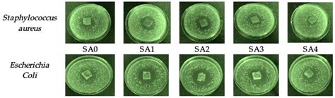 Novel Nanocomposite Hydrogels Based On Crosslinked Microbial