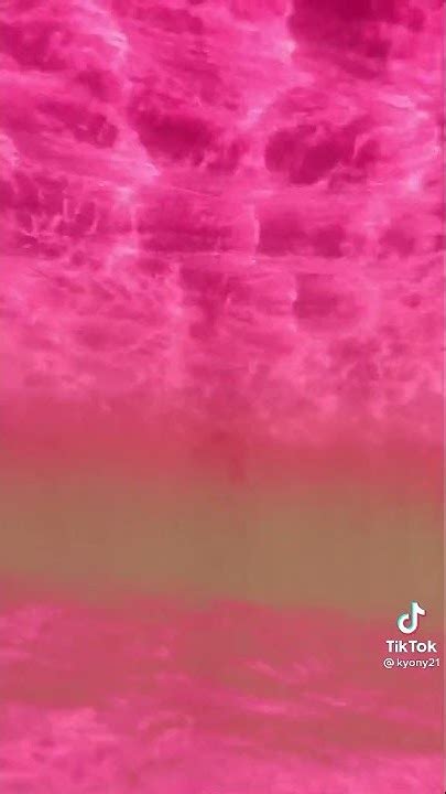 핑크빛 호수 Youtube