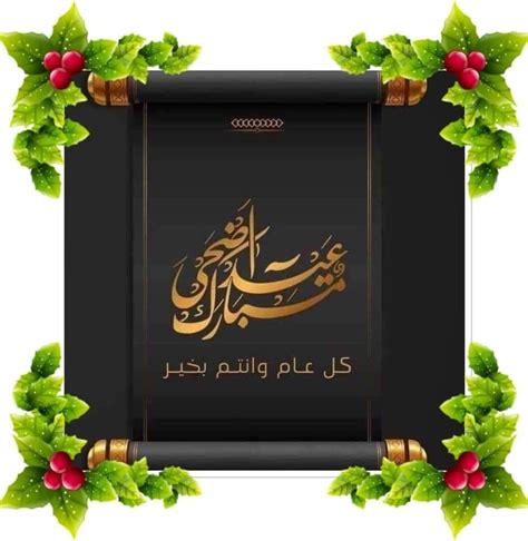 Hany Fouad Posted On Linkedin