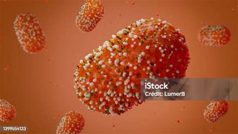 원숭이두 바이러스 세포 3d 구조 Poxviridae 패밀리의 오르토폭스바이러스 속의 구성원3d 일러스트레이션 천연두바이러스에