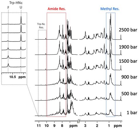 Molecules Free Full Text Combining High Pressure Perturbation With Nmr Spectroscopy For A