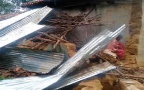 लोहरदगा में घूम रहा 35 हाथियों का झुंड मकान को किया ध्वस्त फसल को