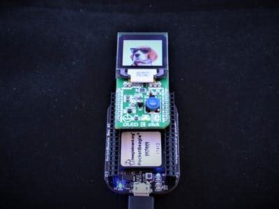 Expand PocketBeagle Easily With Mikro Click Boards OLED C BeagleBoard