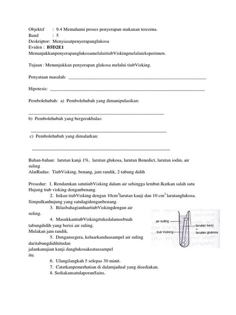 Eksperimen Tiub Visking Biologi Tingkatan 4 1 Matteo Wuckert