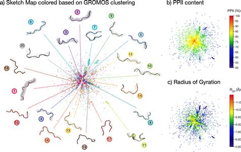 Tidying Up The Conformational Ensemble Of A Disordered Peptide By