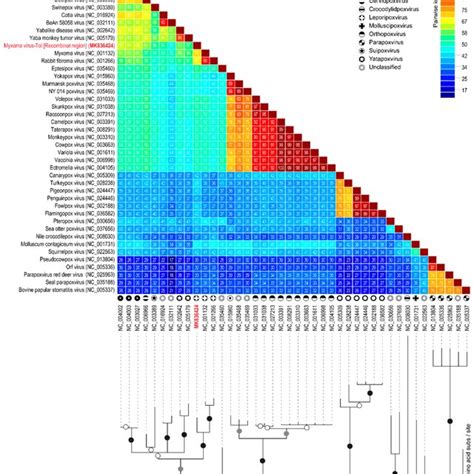 Pairwise Nucleotide Identity Matrix Upper Image And Download