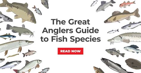 Fish Species Types Of Fish Ultimate Guide For Anglers