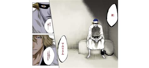 【bleach】アニメ全話ネタバレあらすじ解説まとめ『過去篇』 › Bleachあらすじ・解説