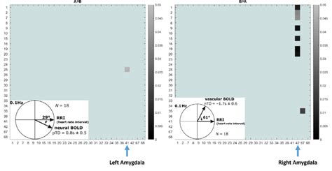 26 9 26 Connectivity Matrices Showing Significant Group Differences P Download Scientific