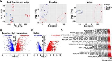 Sex Specific Changes In The Global Transcriptional Signature In The Download Scientific Diagram