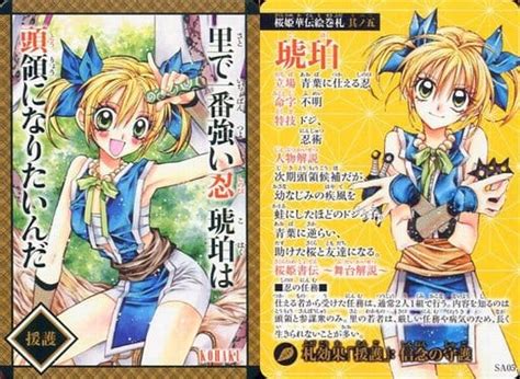 Sa05 Amber Toy Hobby Suruga