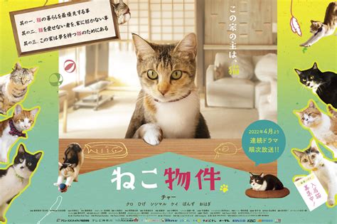 ドラマ「ねこ物件」公式サイト