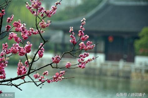 詩詞鋪子出句滿眼春光窮筆墨求高手對句 每日頭條