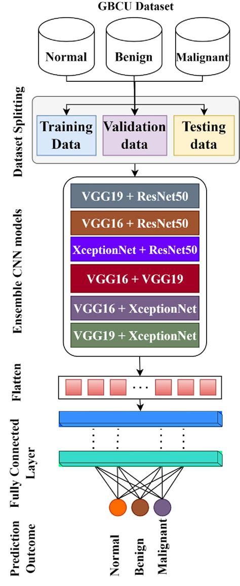 Figure 1 From Classification Of Gallbladder Cancer Using Average Ensemble Learning Semantic