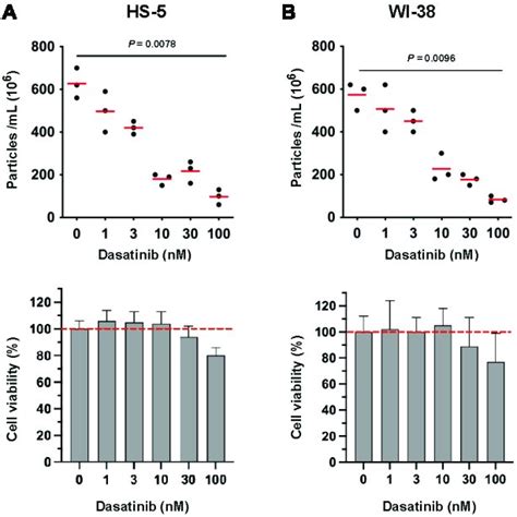 Influence Of Tyrosine Kinase Inhibitor Dasatinib On The Release Of