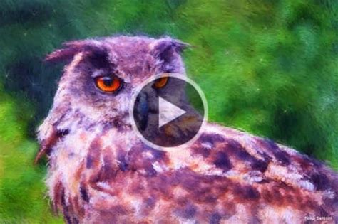 Getting Started With Painter Essentials Corel Discovery Center