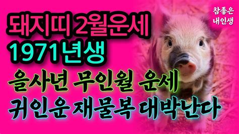 돼지띠운세 2월운세 돼지띠운세71년생 천운이 함께하는 대박띠 돼지띠 운세 1971년생 2월운세돼지띠 돼지띠금전운 1971