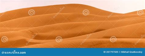 Curva De La Cresta De Una Duna De Arena En El Desierto Imagen De