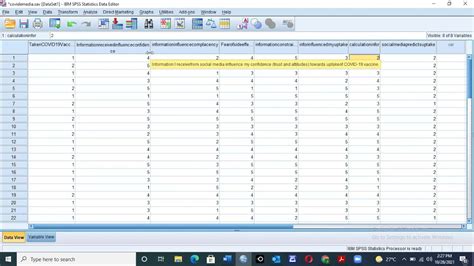 Likert Scale Agree Scale Analysis In Spss Kajos Consultants Youtube