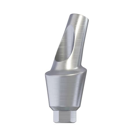 Angulated Anatomic Abutment 25° Ø242mm Shop Dsi Online
