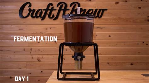 How To Use The Catalyst Fermentation System Brew Insight